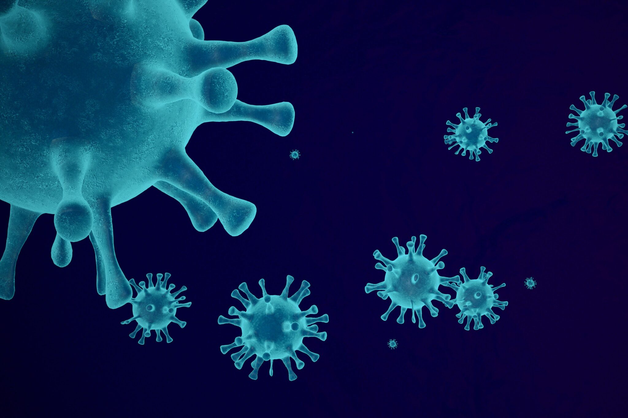 Diferencia entre epidemia endemia y pandemia - Durcal Blog